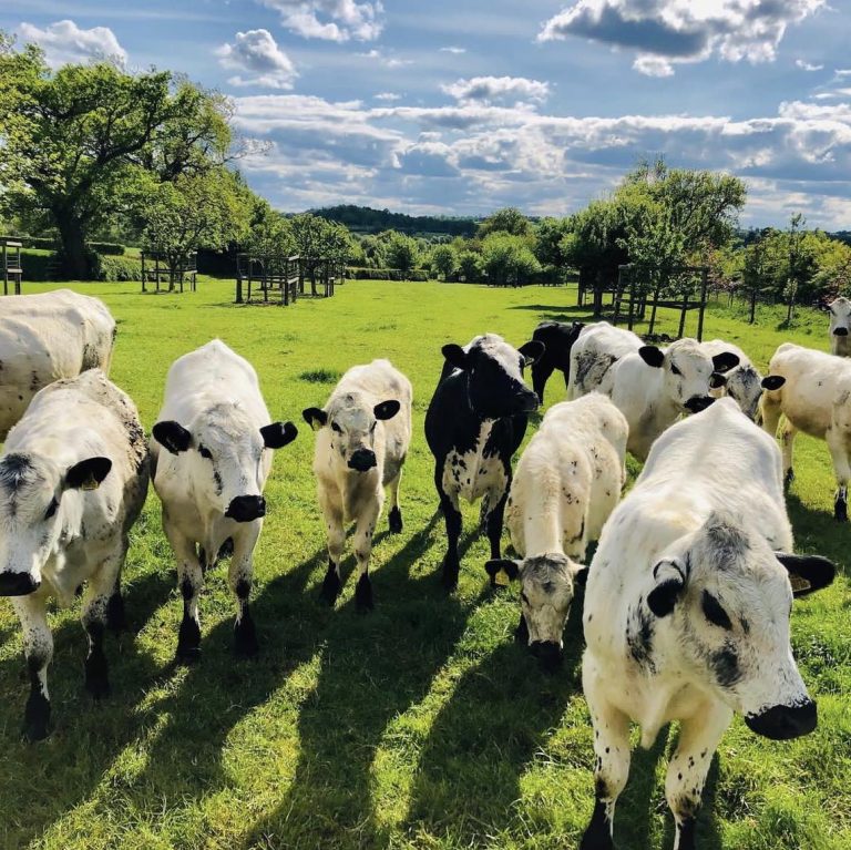 Denstone Hall Farm Shop & Café – DISCOVER EAST STAFFORDSHIRE