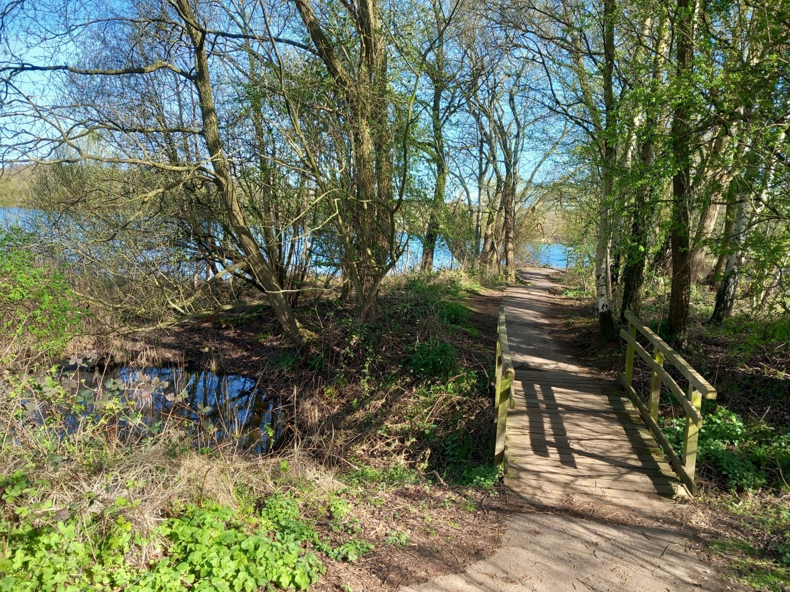 Branston Water Park Nature Reserve – DISCOVER EAST STAFFORDSHIRE
