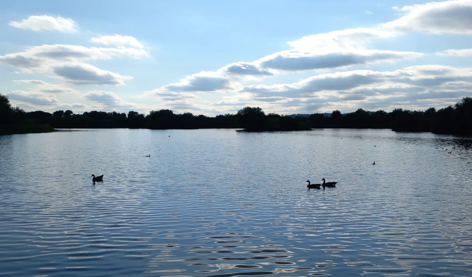 Branston Water Park Nature Reserve – DISCOVER EAST STAFFORDSHIRE