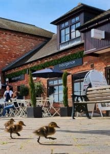 Barton Marina Shopping Village – DISCOVER EAST STAFFORDSHIRE