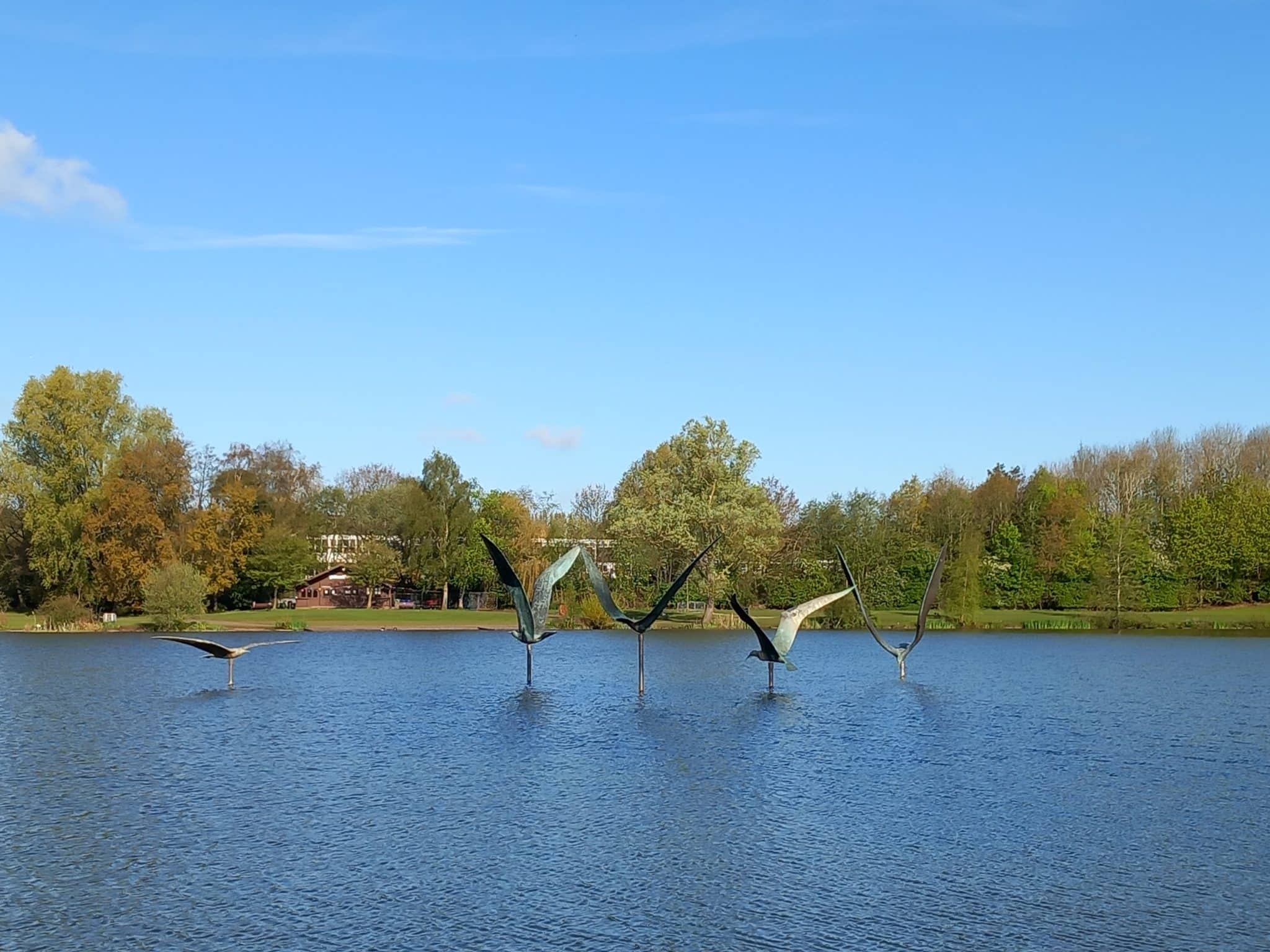 JCB Lakeside Walk – DISCOVER EAST STAFFORDSHIRE