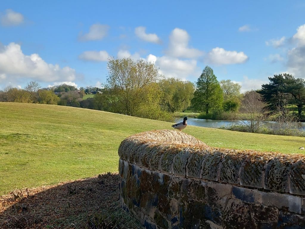 JCB Lakeside Walk – DISCOVER EAST STAFFORDSHIRE