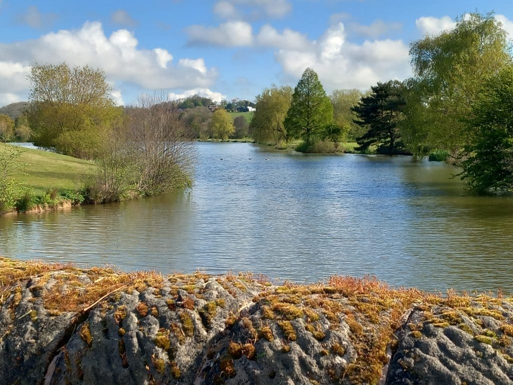 JCB Lakeside Walk – DISCOVER EAST STAFFORDSHIRE