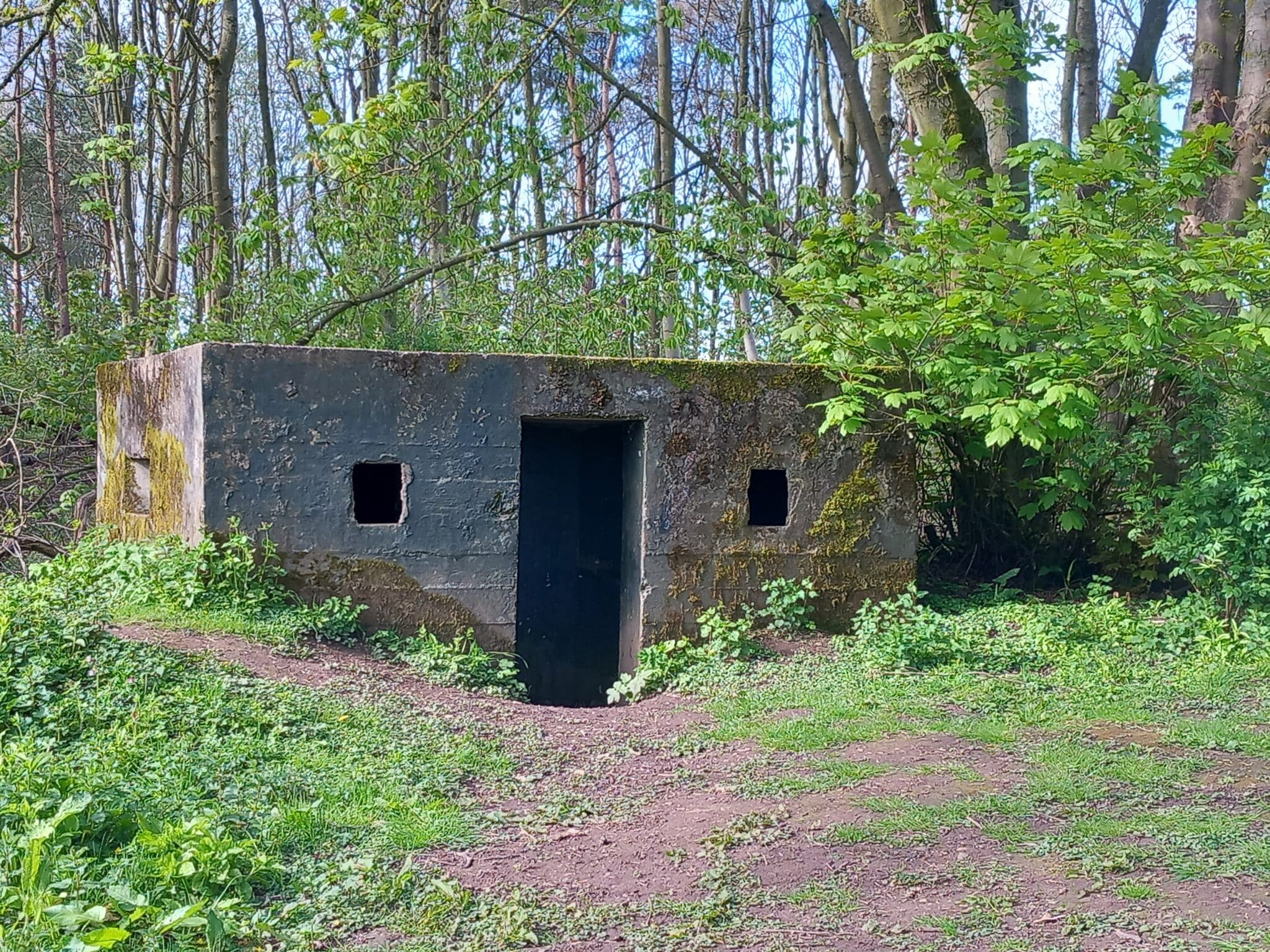 JCB Lakeside Walk – DISCOVER EAST STAFFORDSHIRE